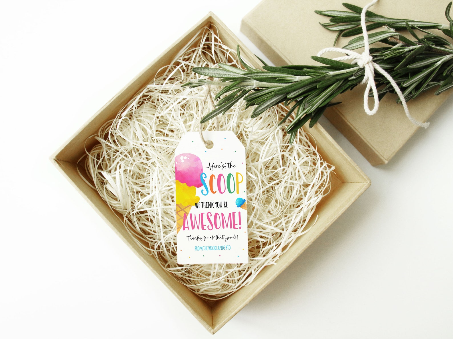 Ice Cream Gift Tag Here's the Scoop You're Awesome - Etsy