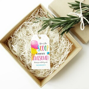 Ice Cream Gift Tag Here's the Scoop You're Awesome - Etsy