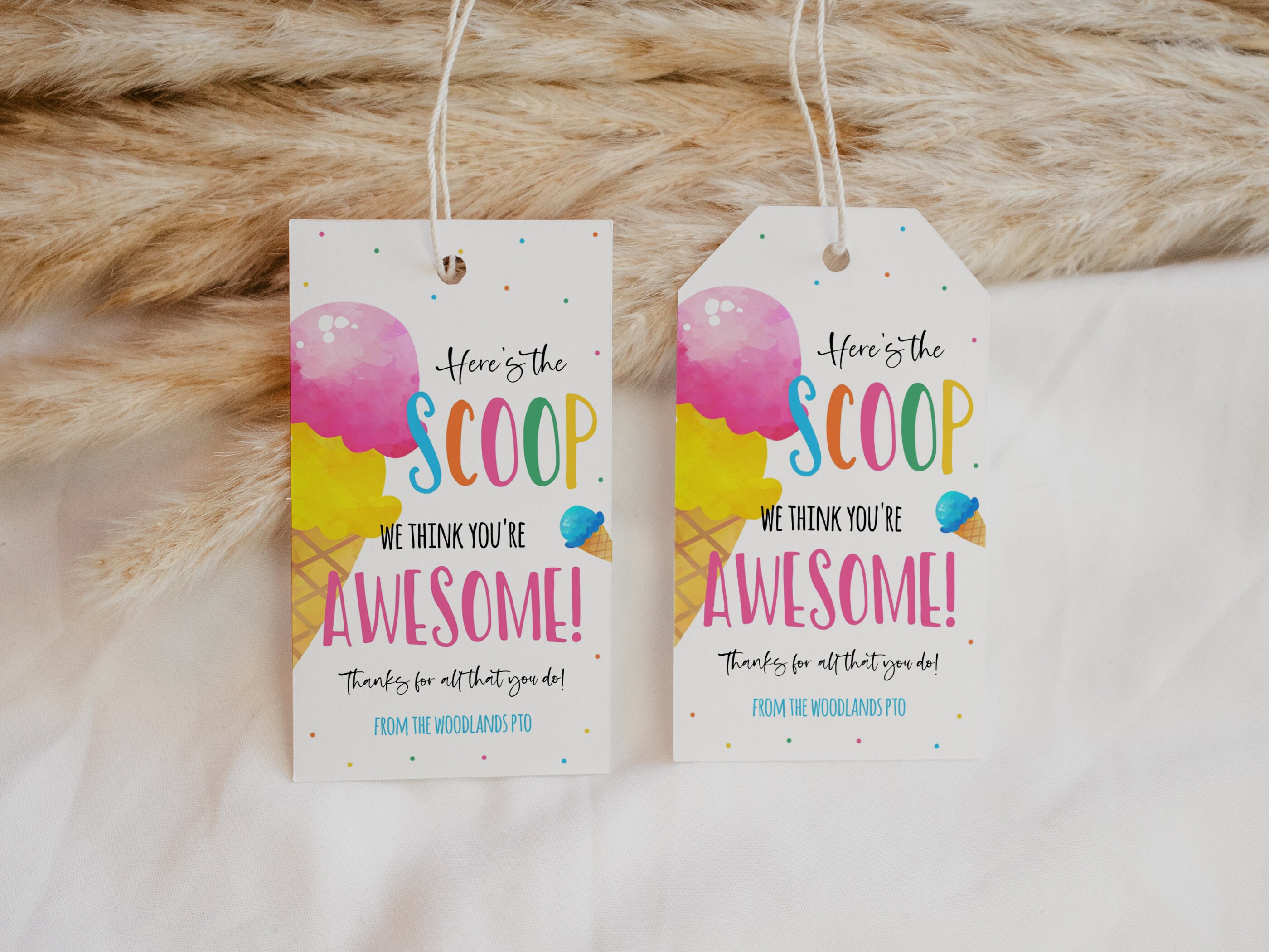Ice Cream Gift Tag, Here's the Scoop You're Awesome, Summer Thank You ...