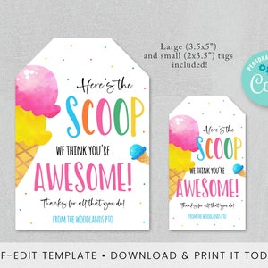 Ice Cream Gift Tag Here's the Scoop You're Awesome - Etsy