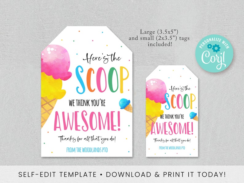 Ice Cream Gift Tag Here's the Scoop You're Awesome - Etsy