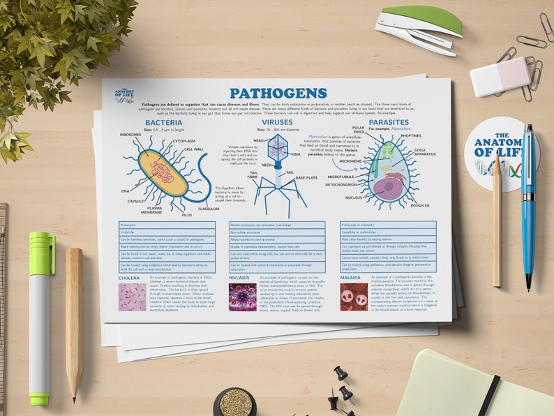 Pathogens Poster PDF | Bacteria, Viruses & Parasites | Biology ...