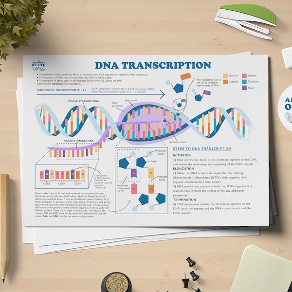Dna Art - Etsy