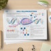 DNA Transcription Science Printable Poster - Etsy
