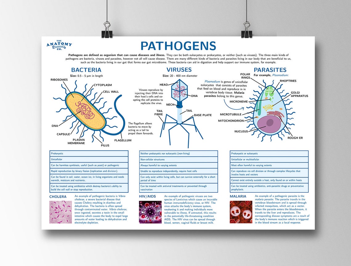 Pathogens Science Poster | Etsy