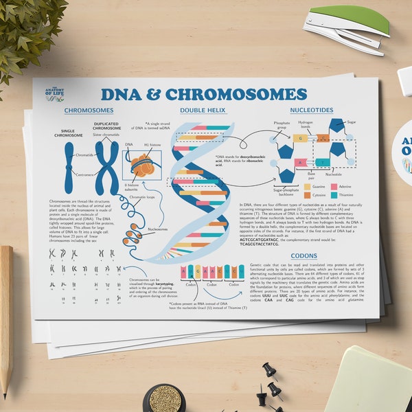 Science Poster - Etsy