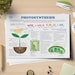 EDUCATIONAL- Plant Cell Poster - Etsy Canada