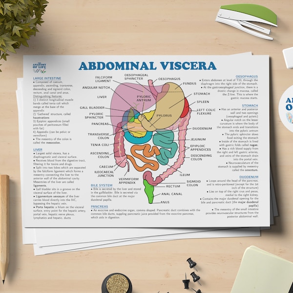 Viscera Poster - Etsy