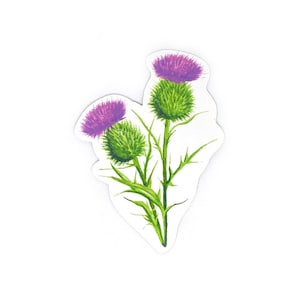 Thistle Sticker, Scotland Sticker, Scottish Sticker, Botanical Sticker ...