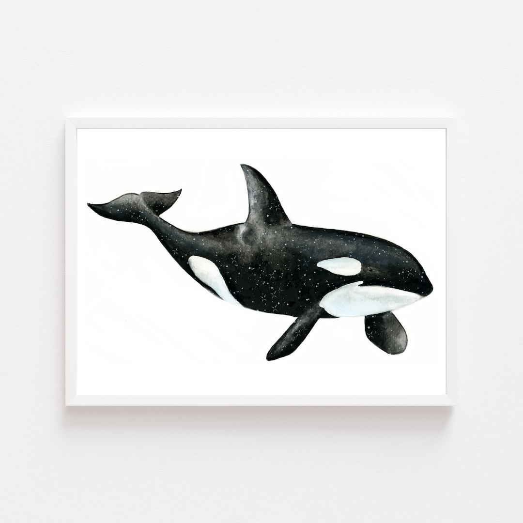 A3 Orca Print, Orca Whale Print, Whale Wall Art, Ocean Art, Animal ...