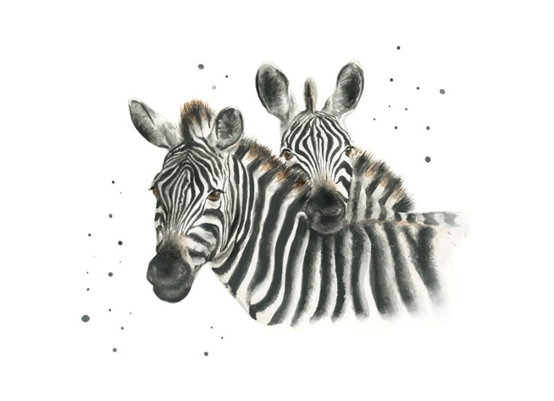 Zebra Print Zebra Wall Art Zebra Art Zebra Art Print Zebra - Etsy