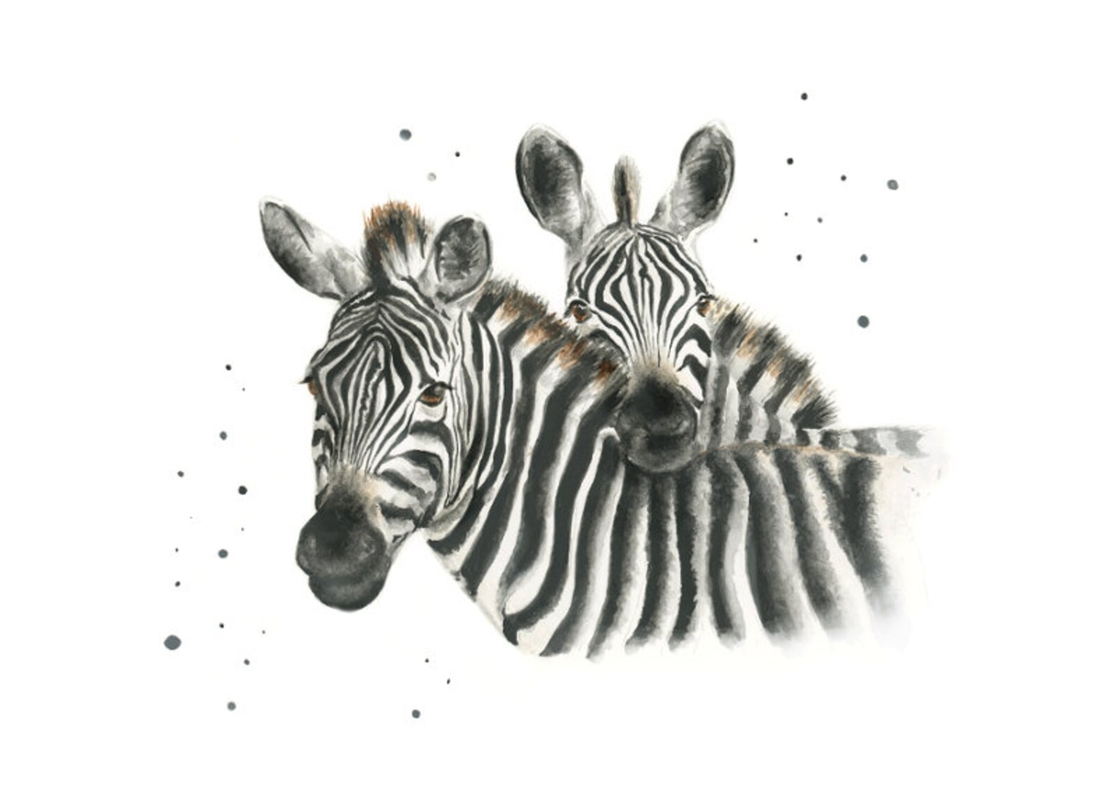 Zebra Print Zebra Wall Art Zebra Art Zebra Art Print Zebra - Etsy