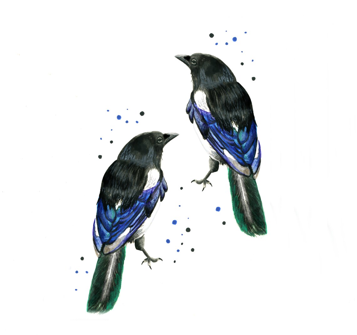 Magpie Print Magpie Art Magpie Painting Magpie Gift Two - Etsy