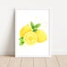 Lemon Print, Lemon Art, Lemon Art Print, Fruit Art Print, Lemon Gift ...