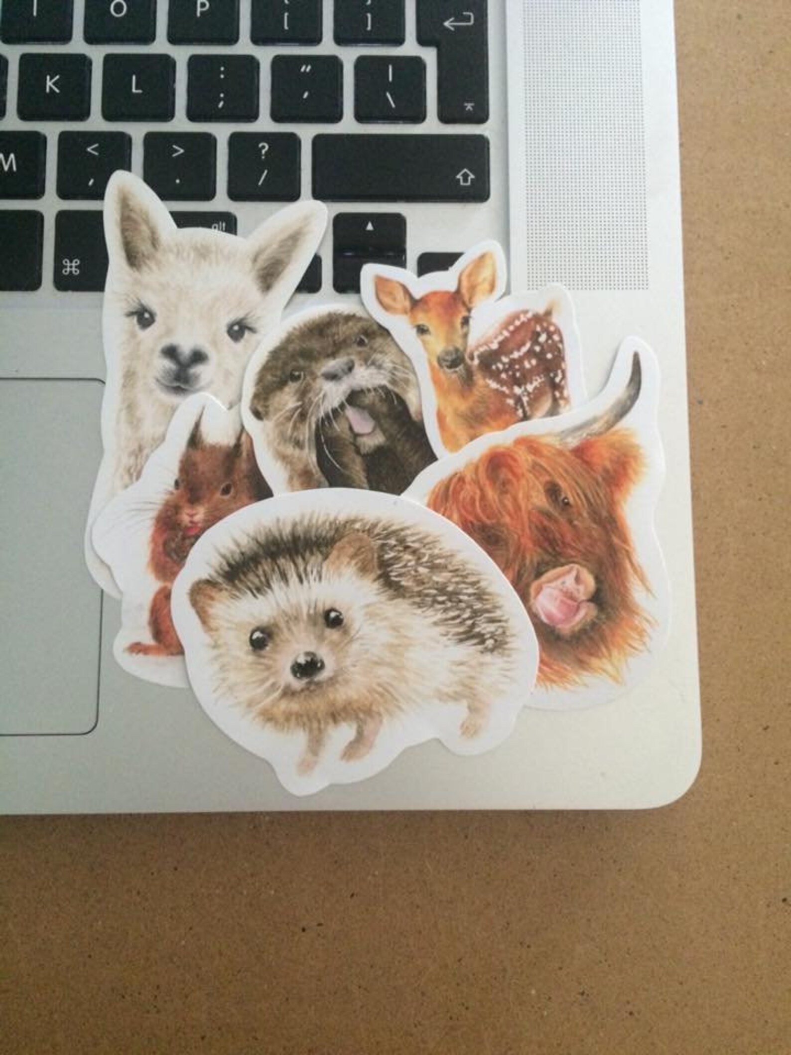Woodland Animal Stickers Animal Sticker Laptop Stickers - Etsy