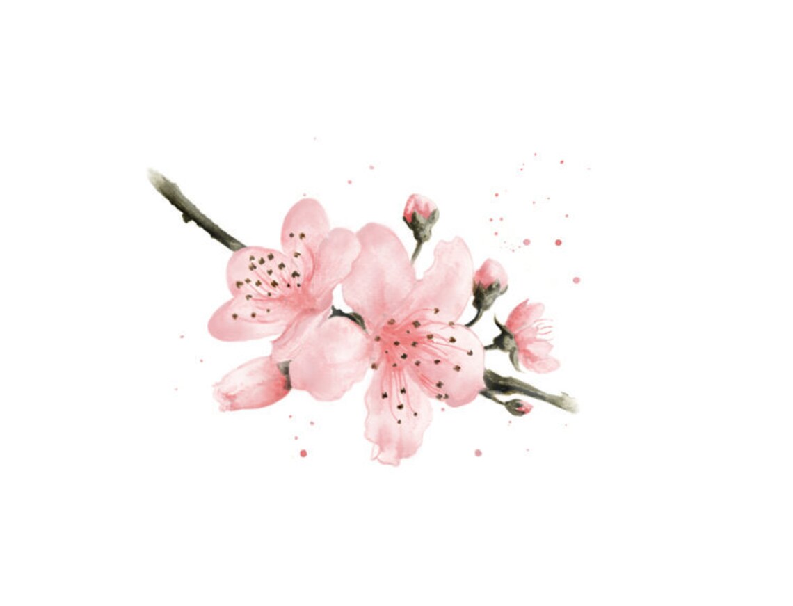 Cherry blossom print cherry blossom art pink cherry blossom | Etsy