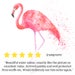 Flamingo Art Flamingo Print Tropical Print Animal Art - Etsy