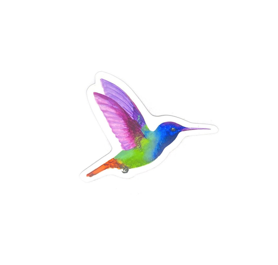 Hummingbird Sticker, Bird Sticker, Laptop Sticker, Vinyl Stickers ...