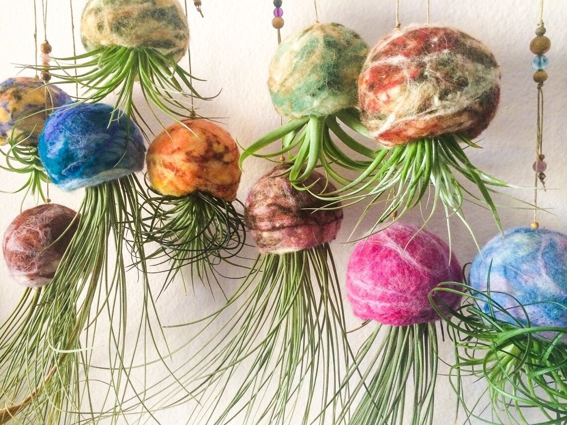 Set of 10 Air Plants in Handmade Felted Hanging Wool Bowl Terrariums ...