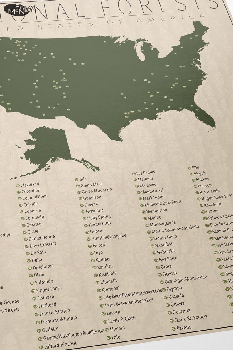 United States National Forests Map, Giclée Print, Vintage Wall Art ...