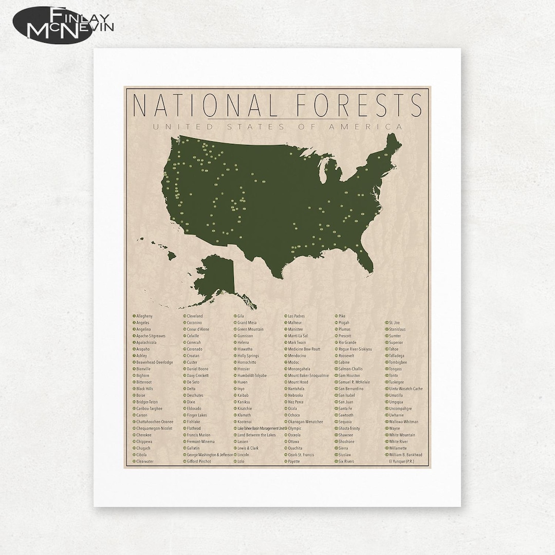 United States National Forests Map, Giclée Print, Vintage Wall Art ...