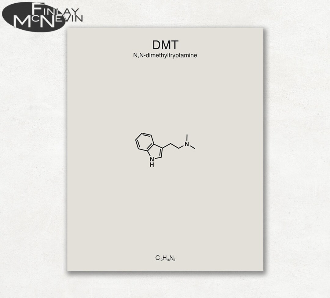 DMT, Minimalist Fine Art Print, Educational Science Poster - Etsy