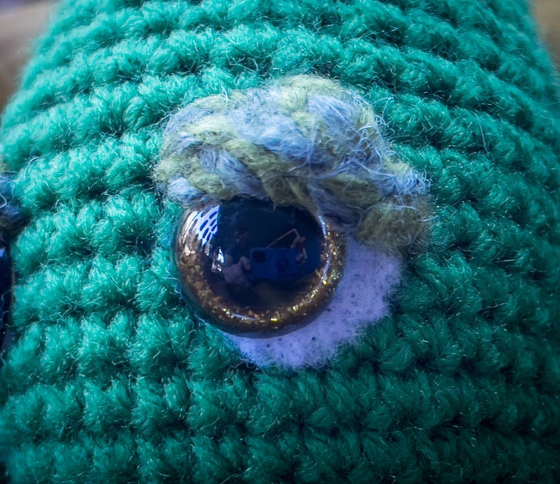 Gallbladder crochet Pattern - Etsy