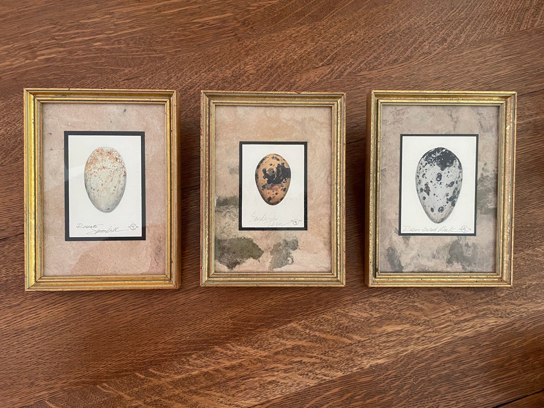 Egg Paintings by Maryjo Koch, Set of 3 - Etsy