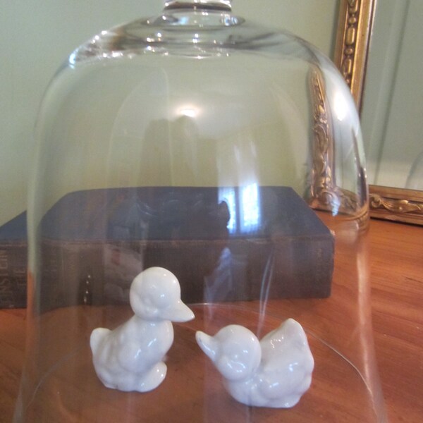 Glass Bell Jars - Etsy