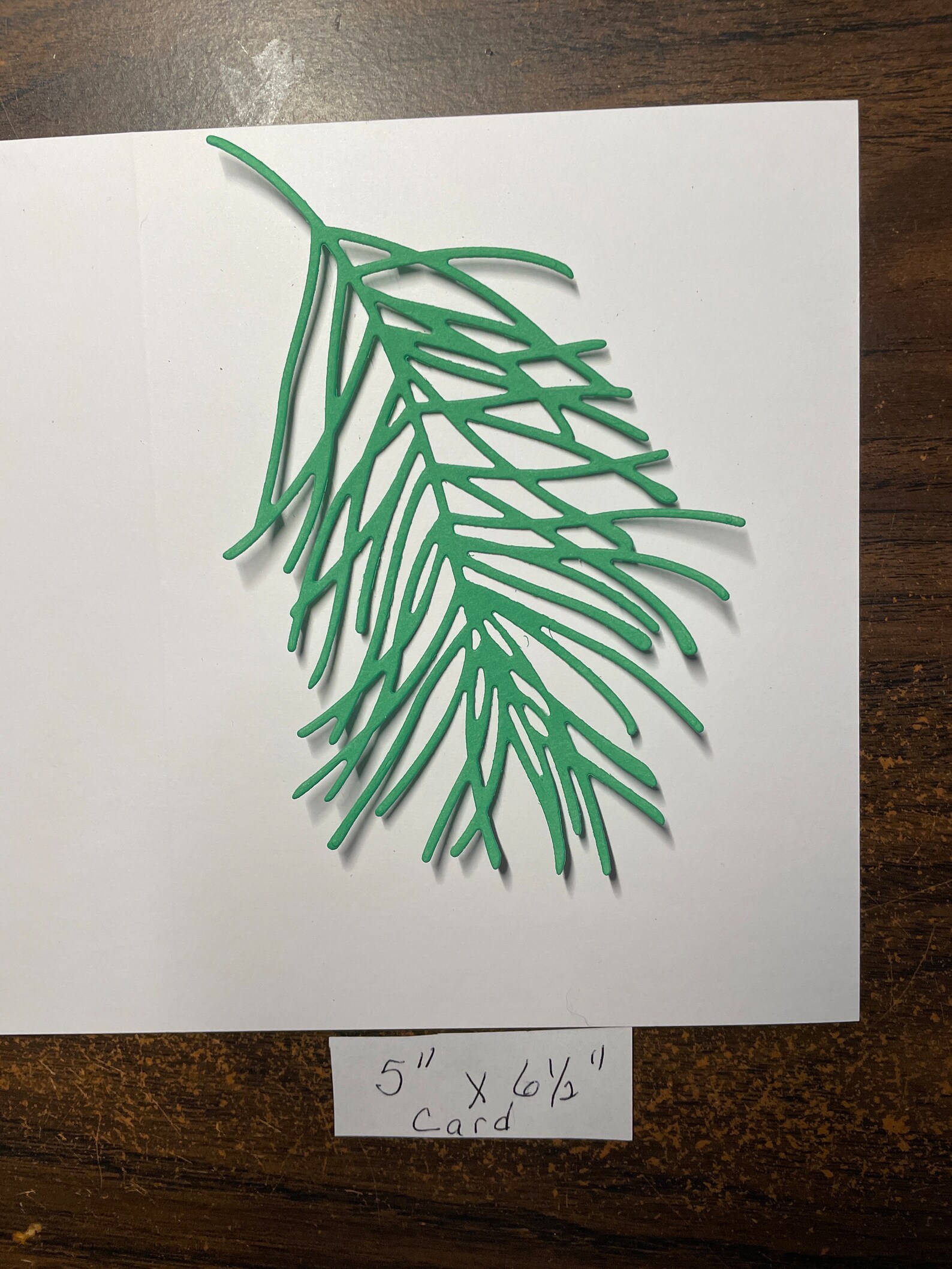Pine Boughs, Pine Cones & Pine Pod - Die Cuts - Die Cuts ~ Card Stock ...