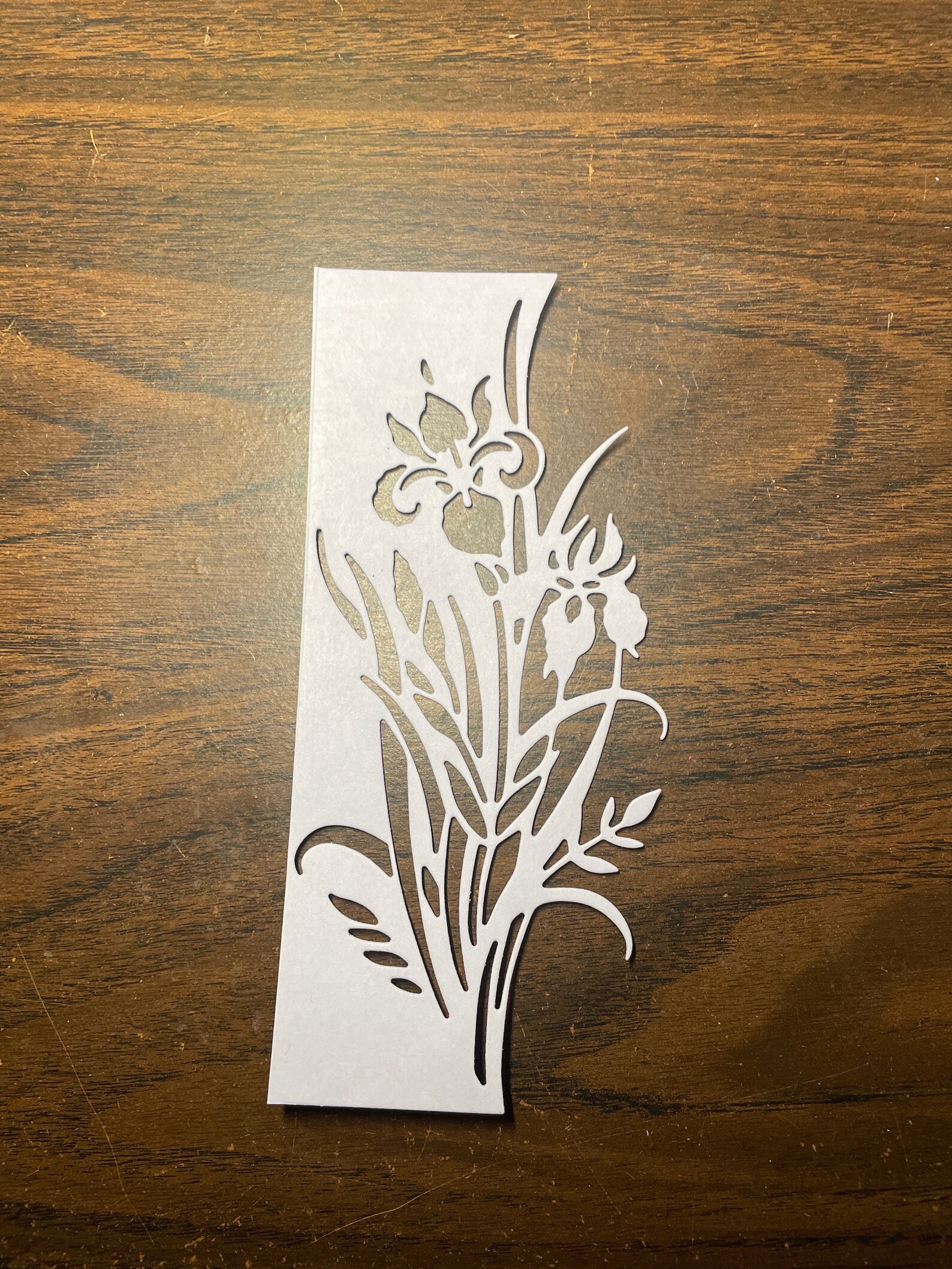 5 Overlays - Die Cuts ~ Card Stock Die Cut ~ Card or Scrapbooking ...