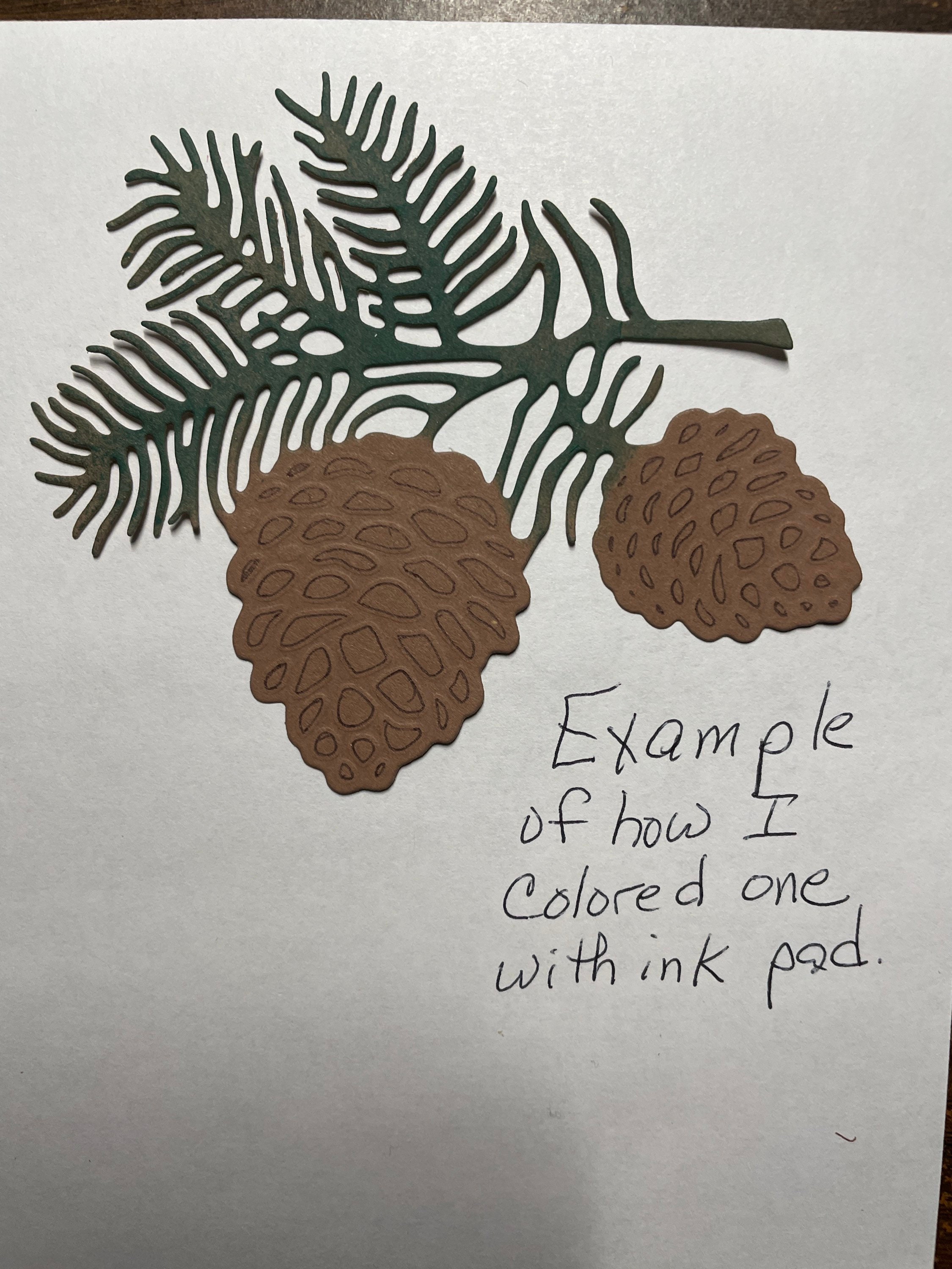 Brown Pine Cone Bough Die Cuts - Cardmaking Embellishments (set of 4 ...