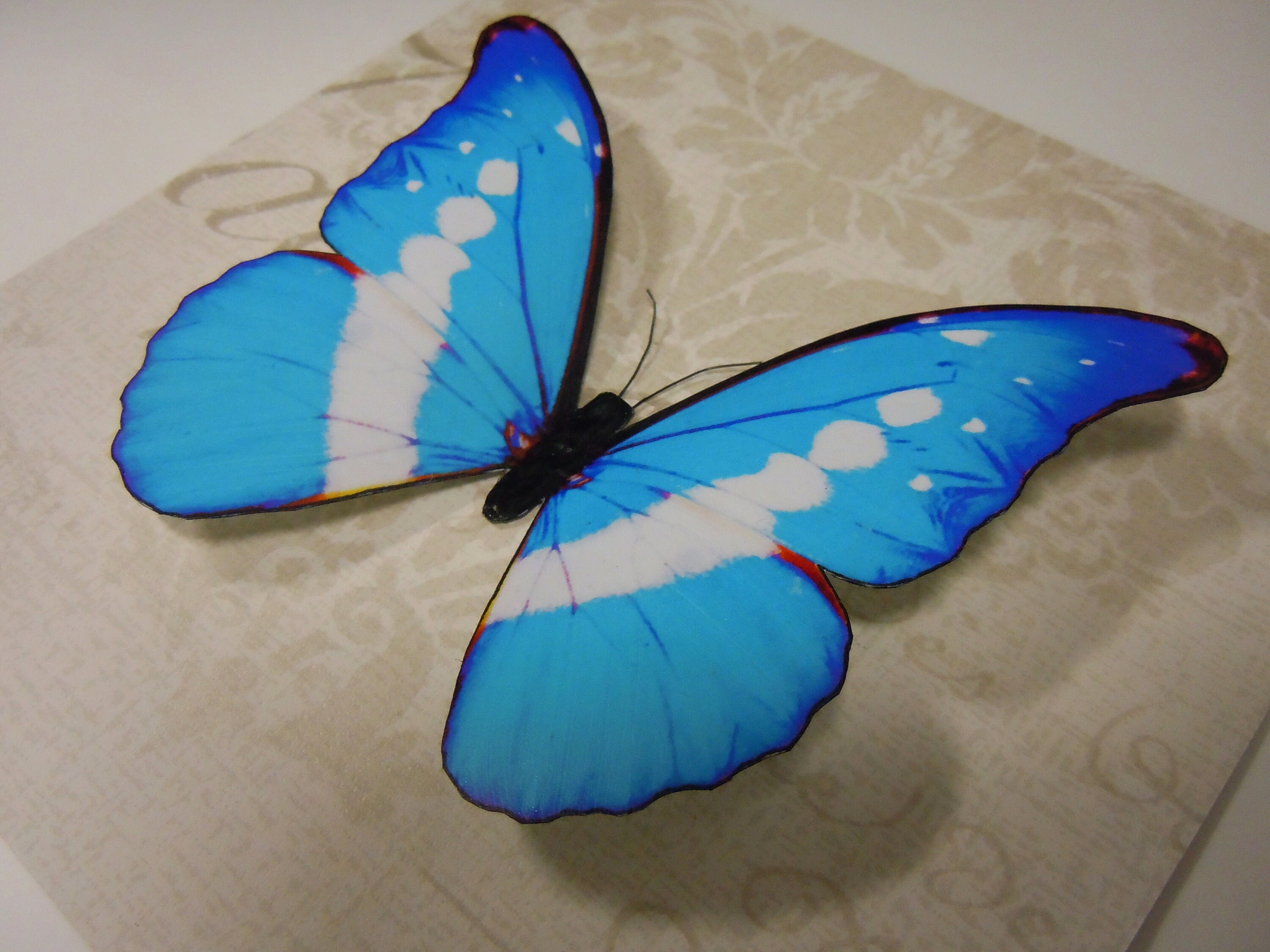 3D Light Blue BUTTERFLY Paper Craft Art Shadow Box Art 6 - Etsy