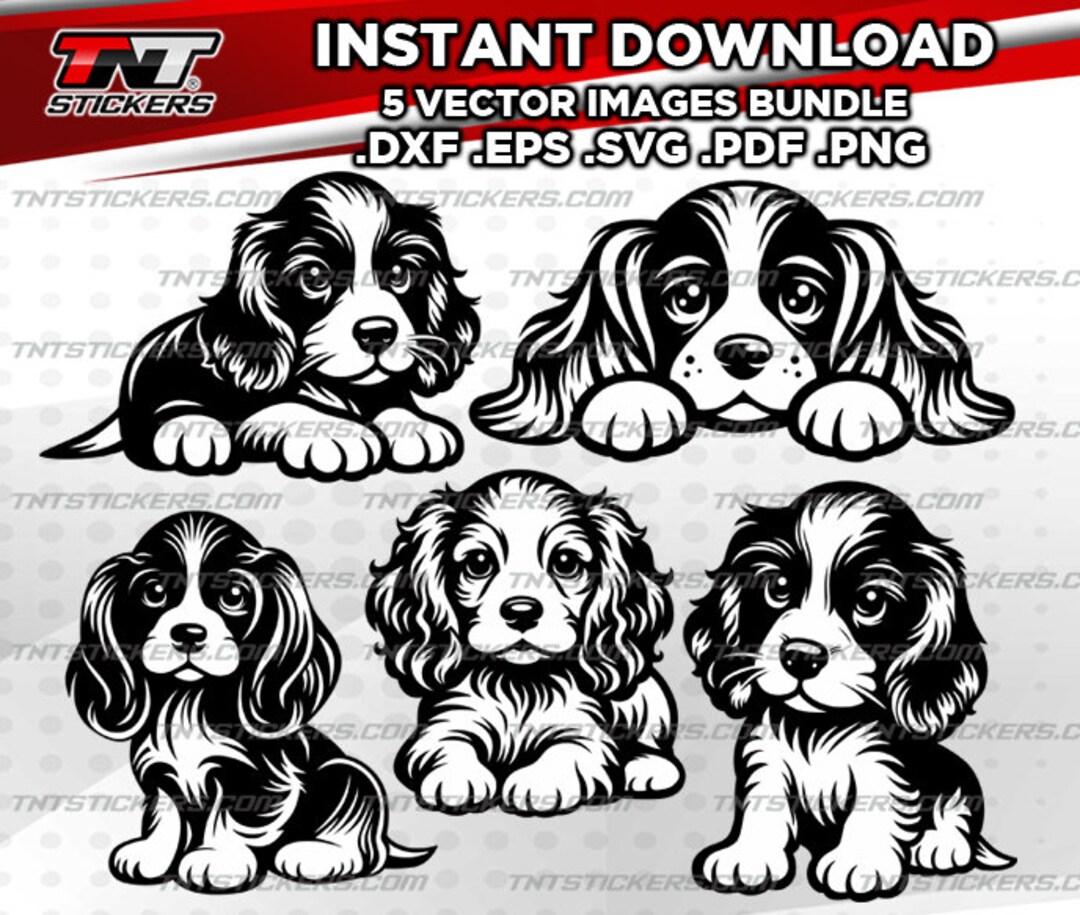Cocker Spaniel Puppies Design Dog VECTOR FILE BUNDLE| Svg | Eps | Png ...