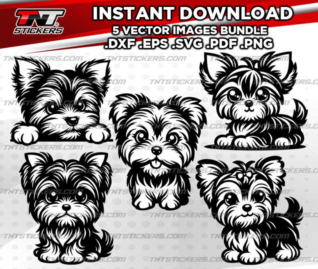 Yorkie Puppies Yorkshire Terrier VECTOR FILE BUNDLE | Svg | Eps | Png ...
