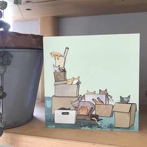 Cats in BOXES , Lots of Daft Cats Doing One of Their Favourite Things ...