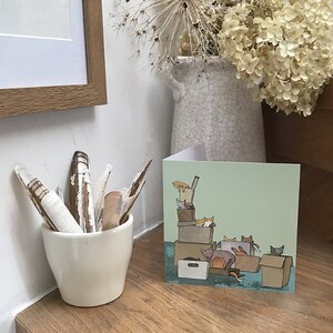 Cats in BOXES , Lots of Daft Cats Doing One of Their Favourite Things ...