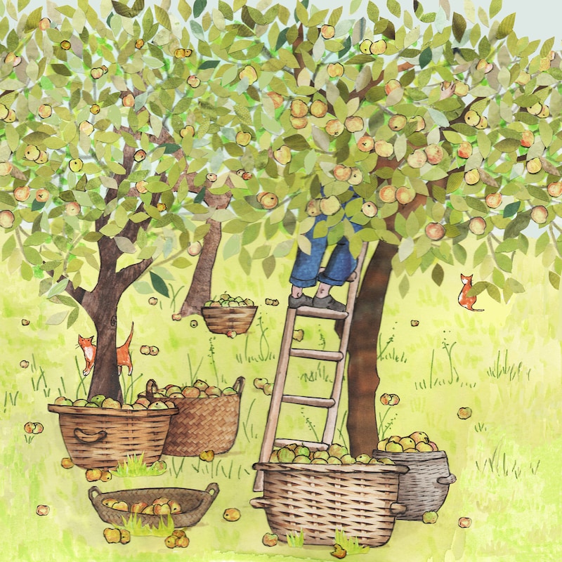 Apple Orchard Cards - Etsy UK