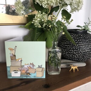 Cats in BOXES , Lots of Daft Cats Doing One of Their Favourite Things ...