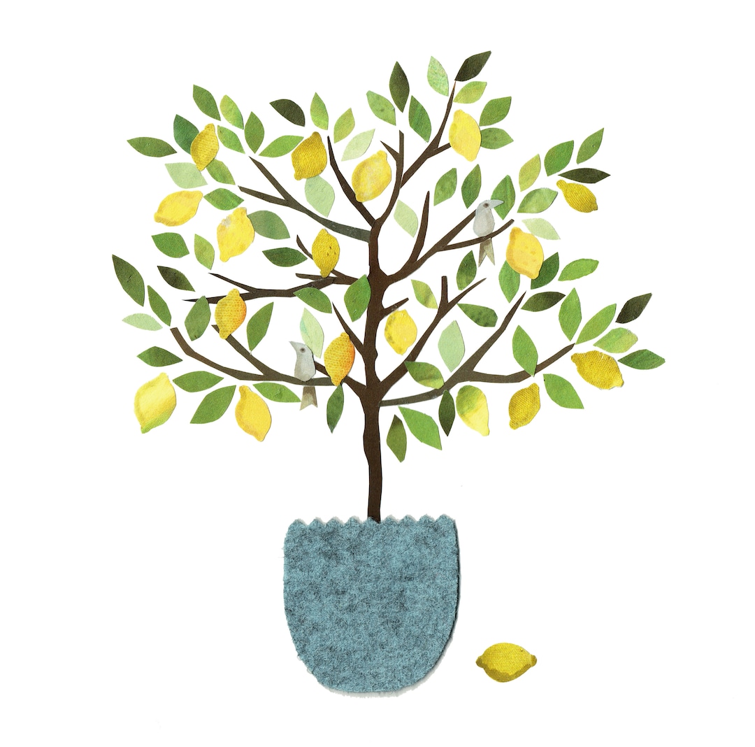 Lemon Tree .A Delightfully Simple Card ,showing a Small Lemon Tree in a ...