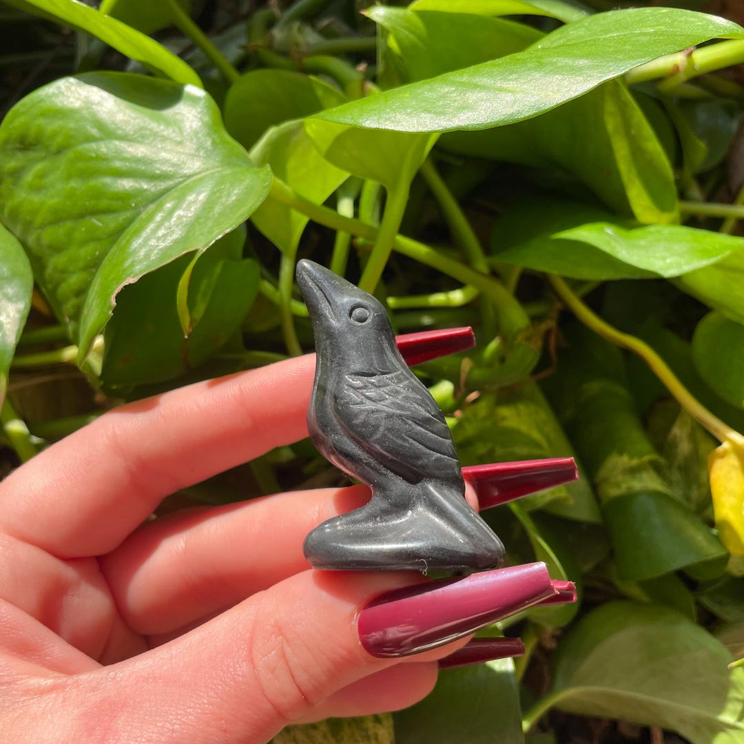 Black Obsidian Raven Small Polished Crystal Carving - Etsy