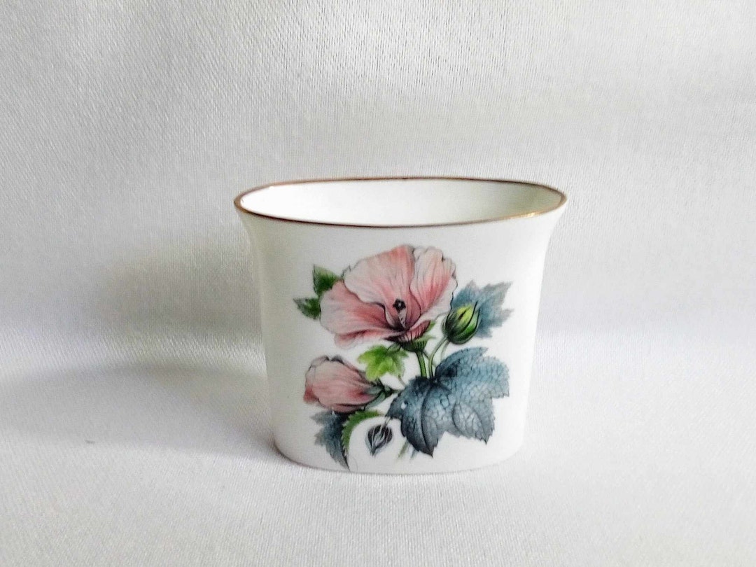 Ce65a Vintage Royal Worcester Bone China Tooth Pick Jar. Hibiscus ...