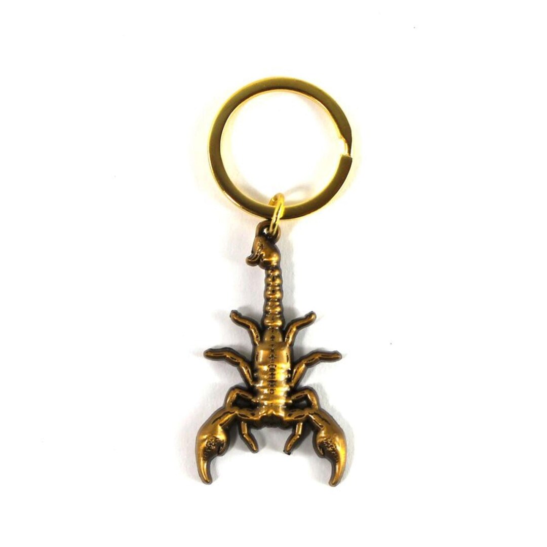 The Desert Scorpion Keychain - Etsy