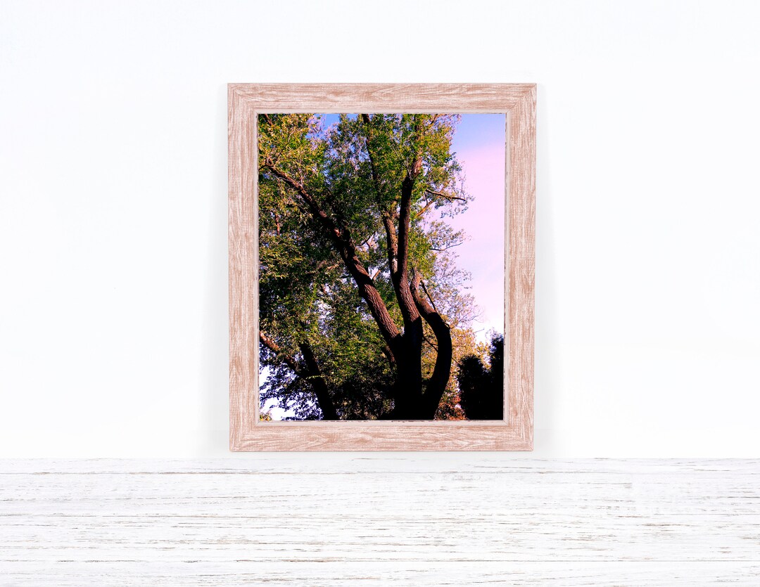 Pink Hue Tree Digital Wall Art 8 X 10 - Etsy