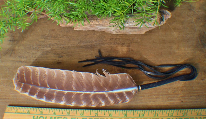 Prayer Feather W/ Deer Leather Fringe Native Made William Lattie ...