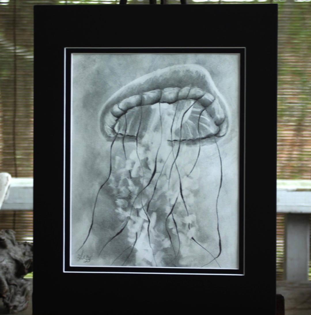 Original Graphite Artwork | Black Sea Nettle Jelly by Lea Lattie | 8 X ...
