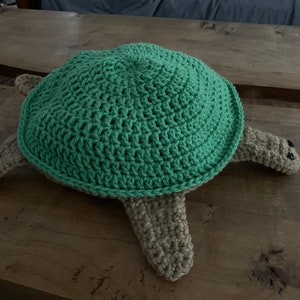 Turtle Memory Game With Ten Color Matches for Kids. Learning Game. Good ...