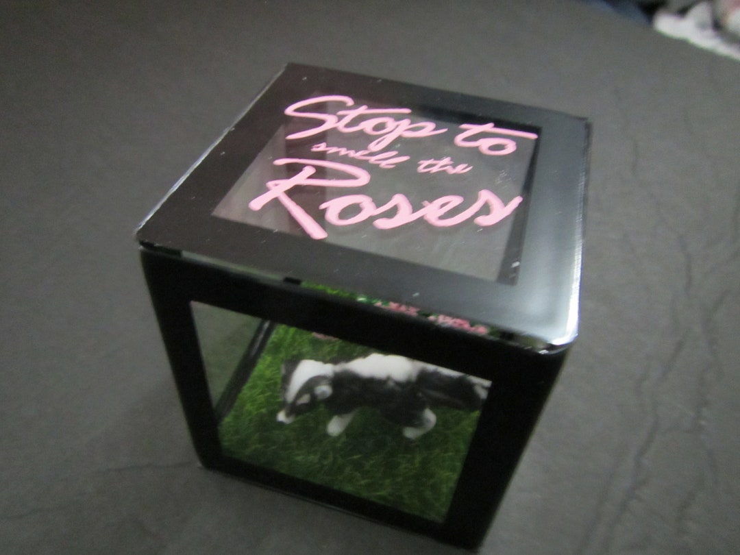 Skunk Miniature Display Diorama Micro Mini 2.5 Picture Cube Stop to ...