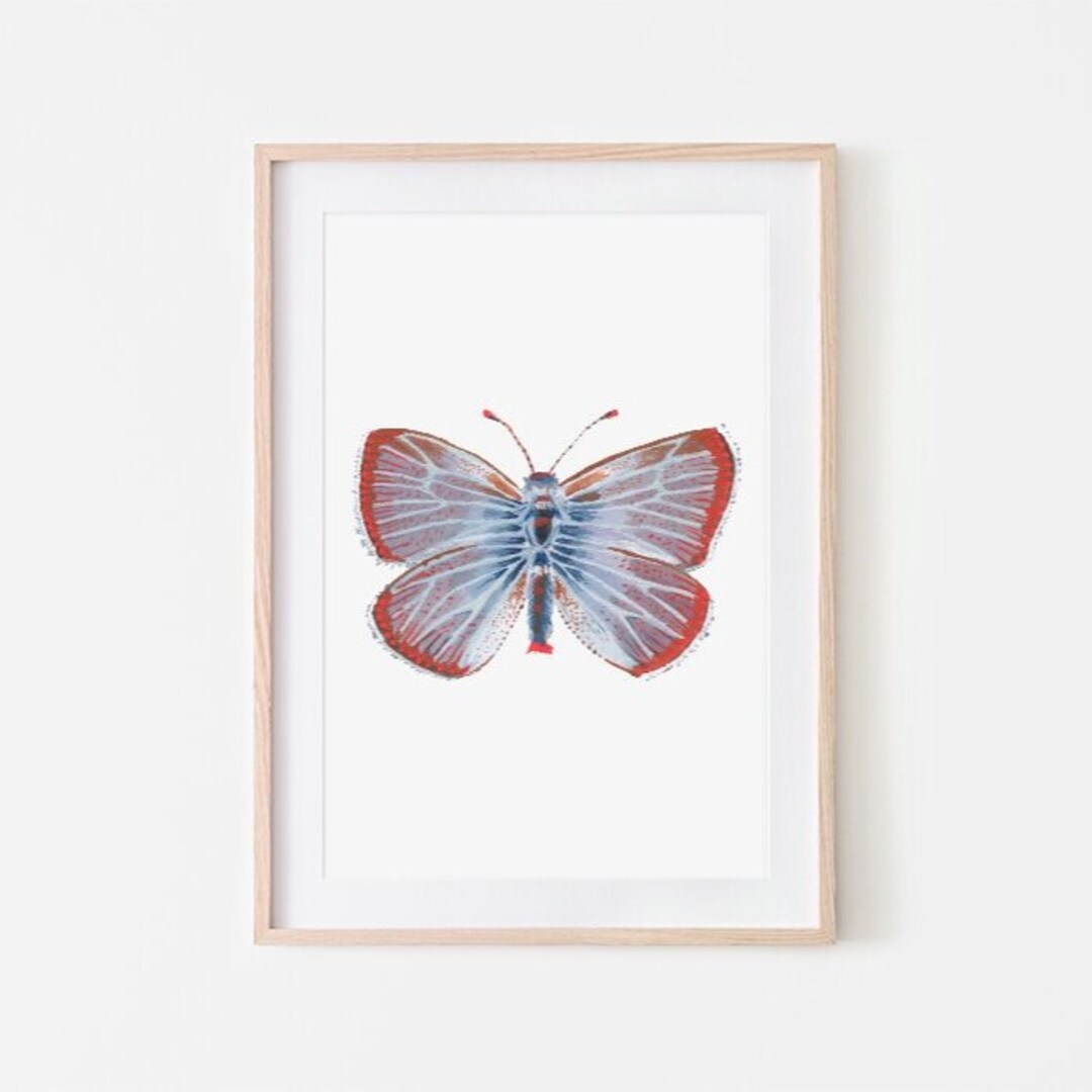 Xerces Blue Butterfly Giclée Art Print - Etsy