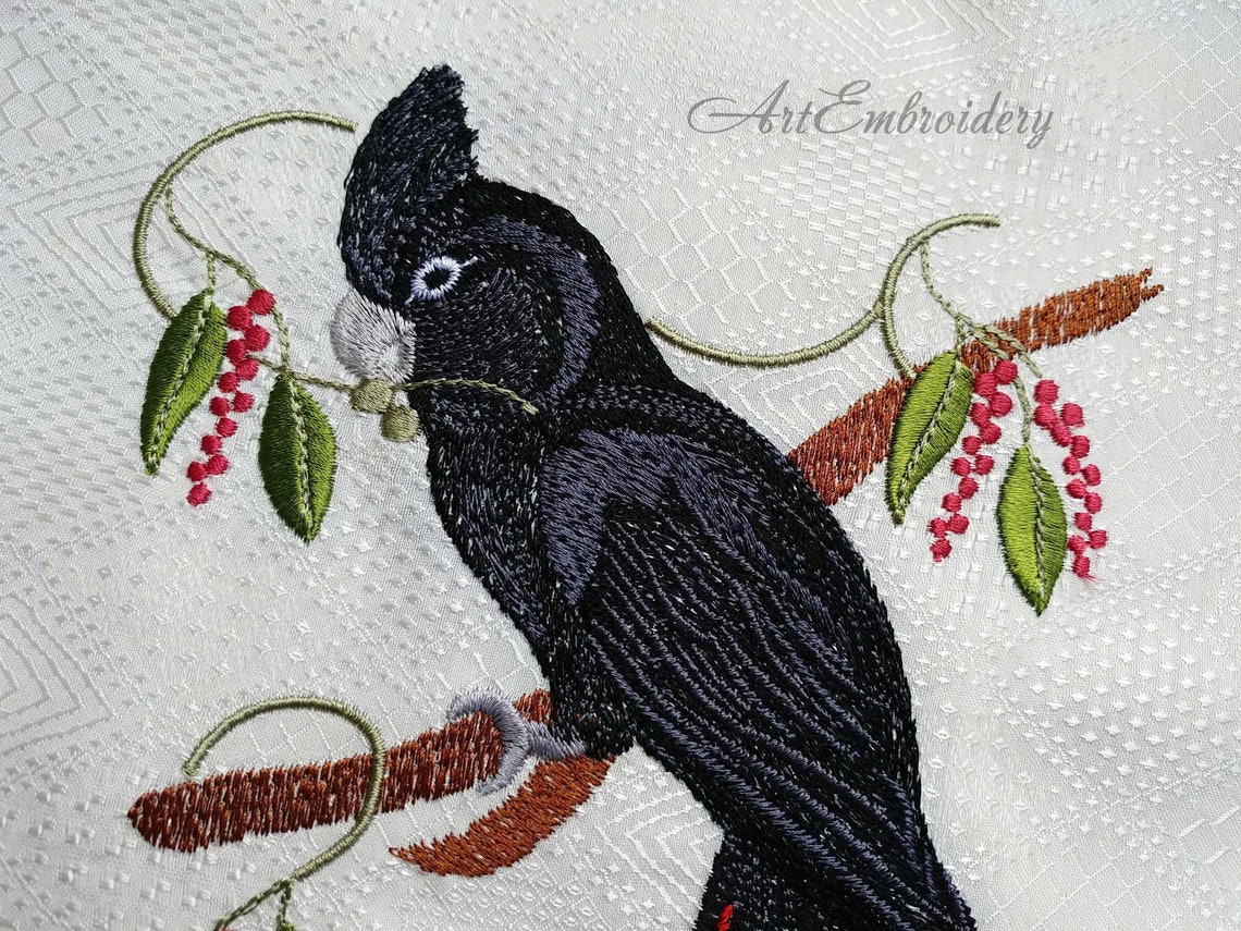 Red-tailed Black Cockatoo Machine Embroidery Design (4x4 and 6x6 ...